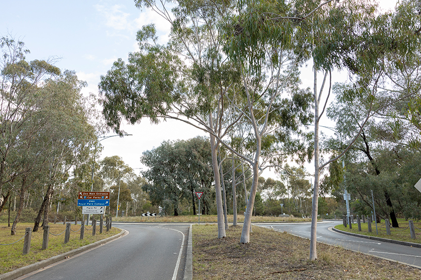 City of Melbourne progresses with a review of the Royal Park Master ...